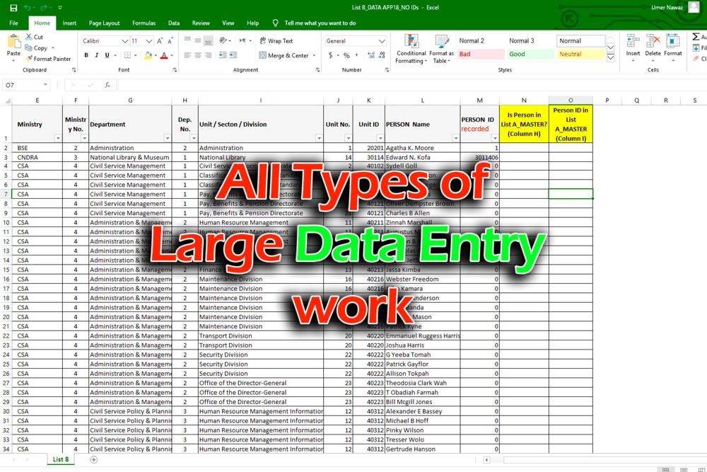 Data Entry Work Sheets